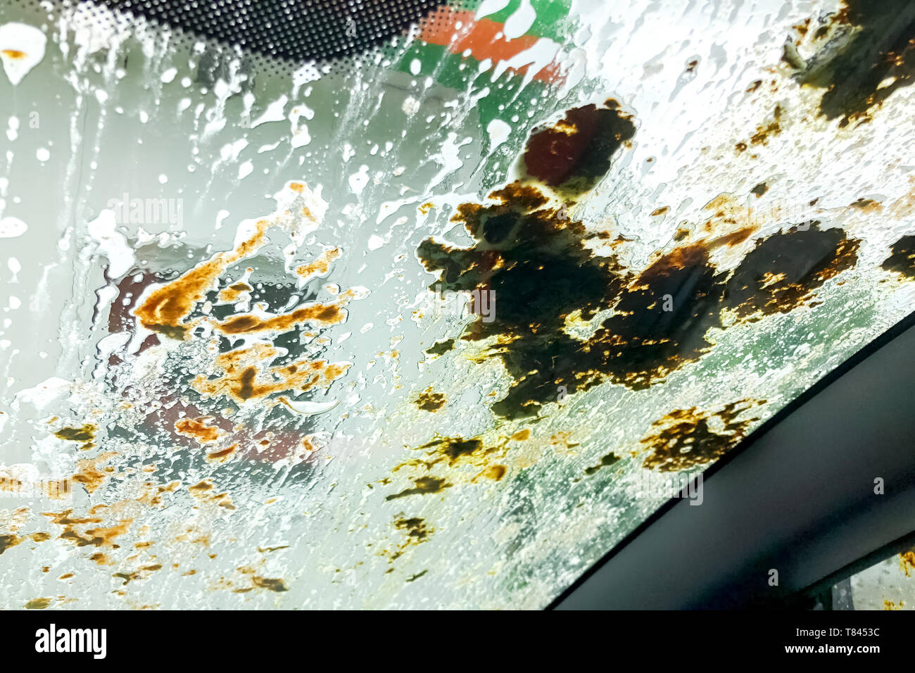 Car Washing in a Car Washing Street Stock Photo - Alamy