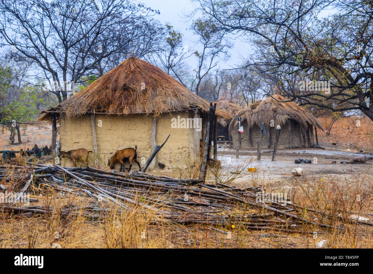 Mud huts hi-res stock photography and images - Alamy