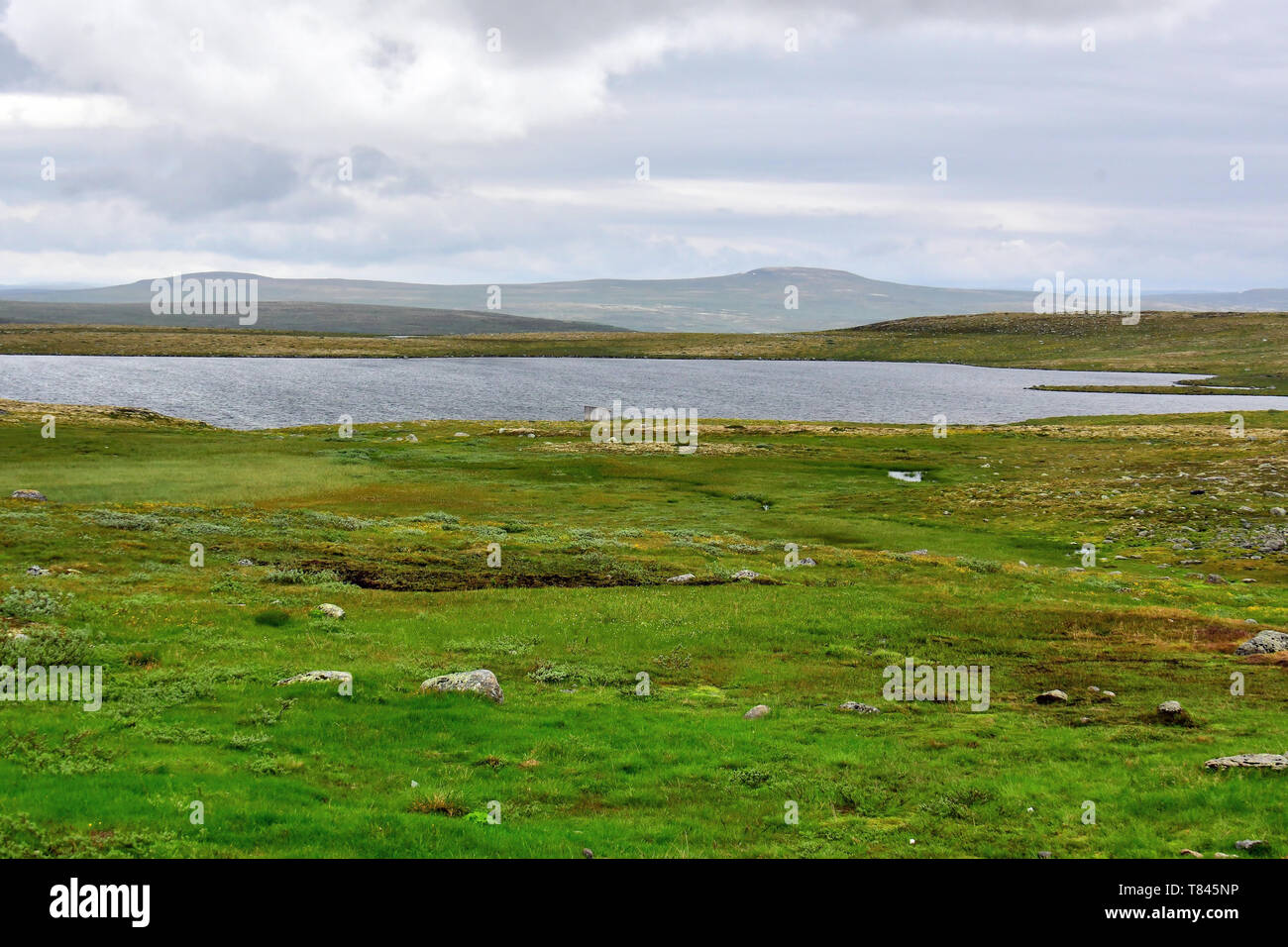 Scandinavian Plateau High Resolution Stock Photography and Images - Alamy