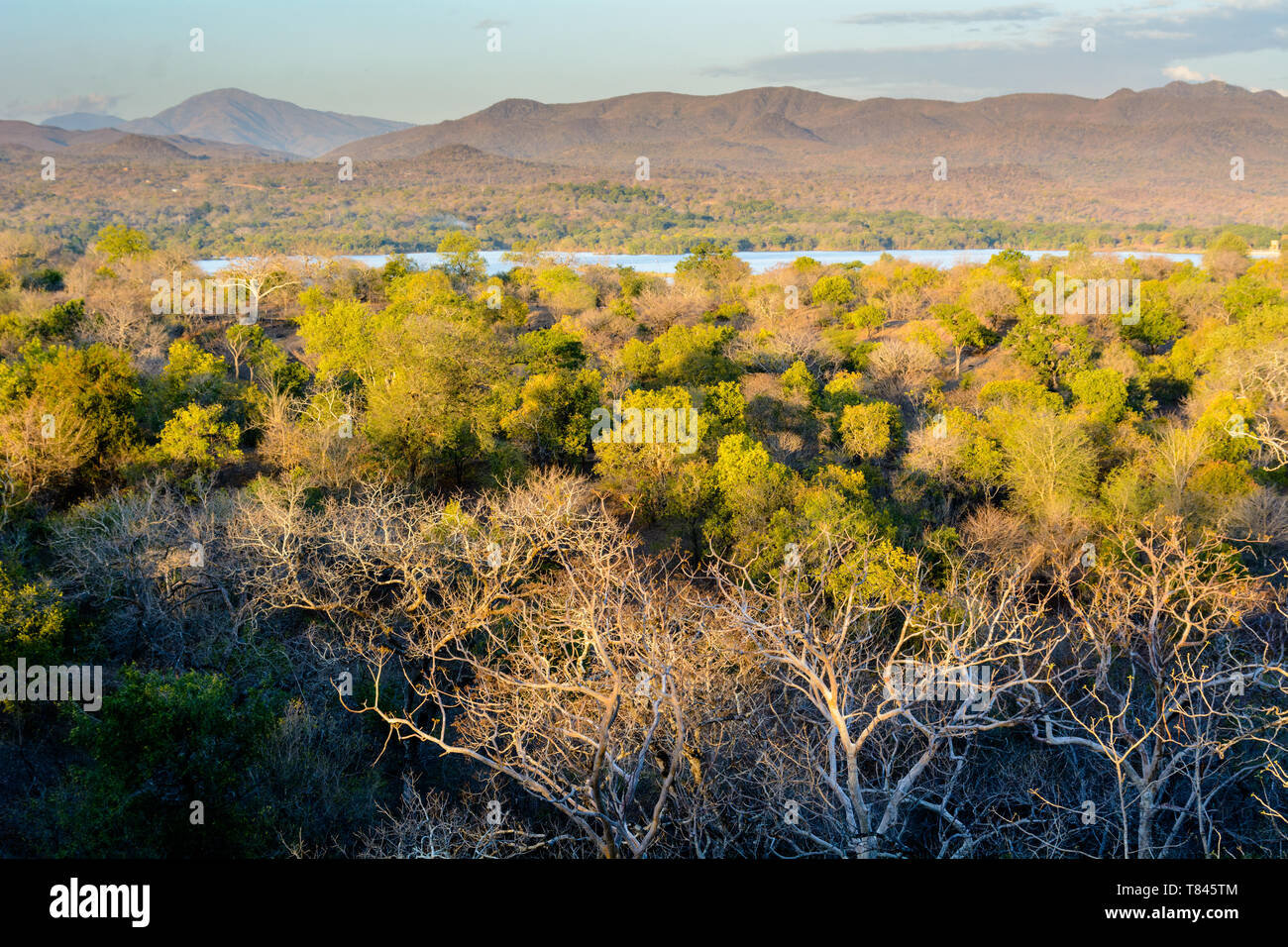 Shire river malawi hi-res stock photography and images - Alamy