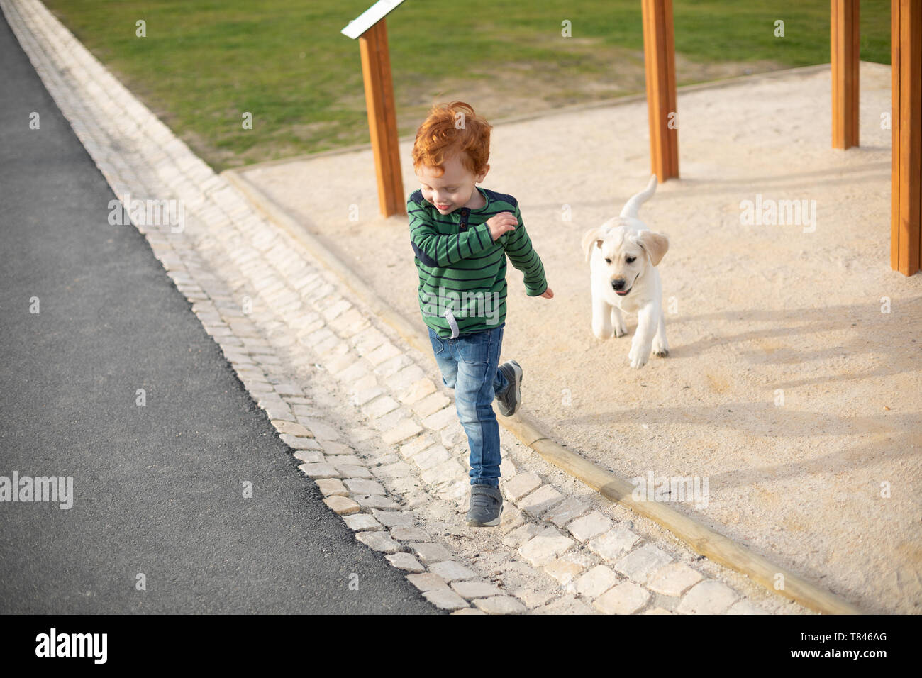 Child chasing dog hi-res stock photography and images - Alamy
