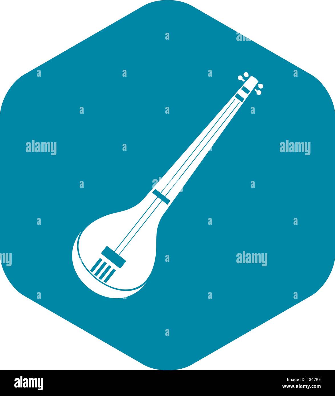 Indian mandolin hi-res stock photography and images - Alamy