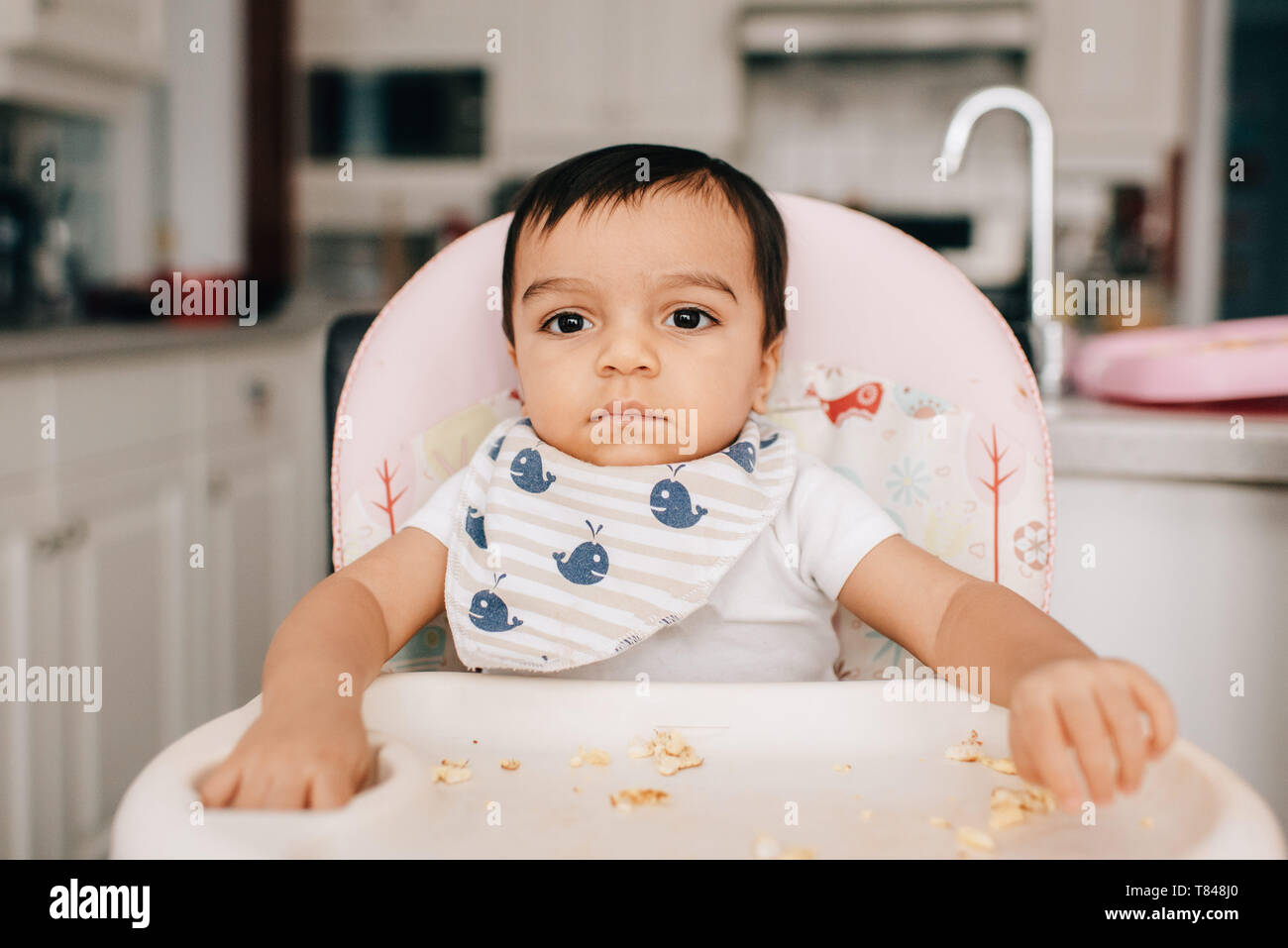 Cute baby boy sitting in high chair, portrait Stock Photo - Alamy
