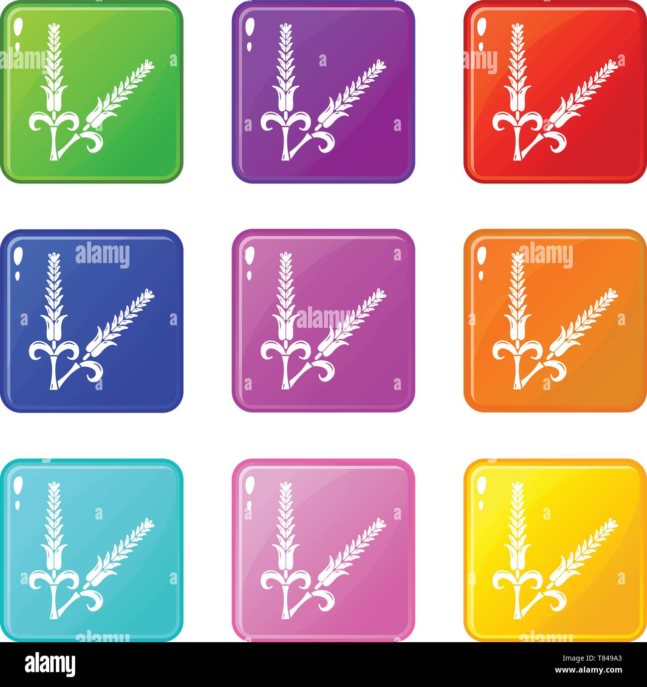 High wheat icon simple hi-res stock photography and images - Alamy