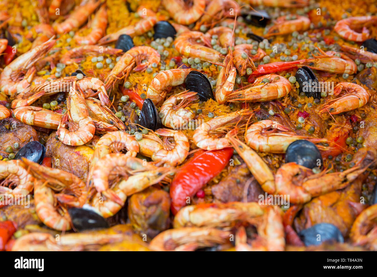 Culture of green mussel hi-res stock photography and images - Alamy