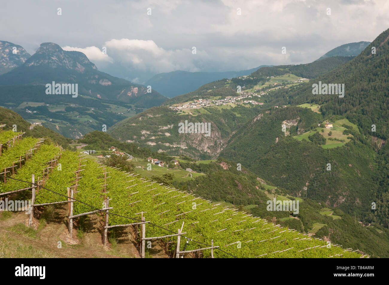 Grapes mountains hi-res stock photography and images - Alamy