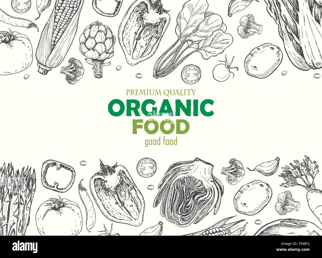 Horizontal background with different vegetables. Organic food. Vector ...