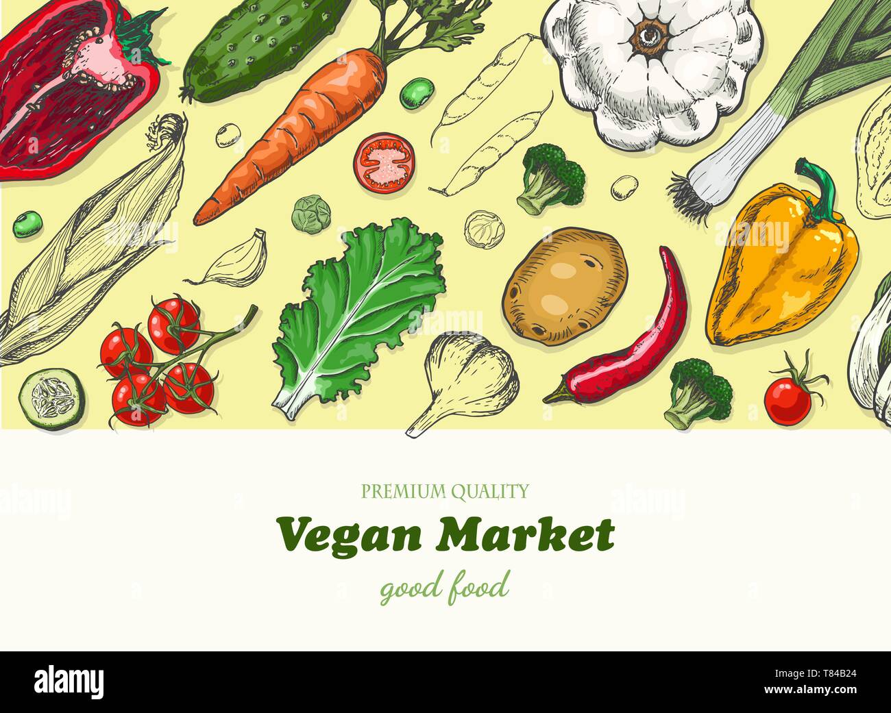 Horizontal background with different vegetables. Organic food. Vector ...