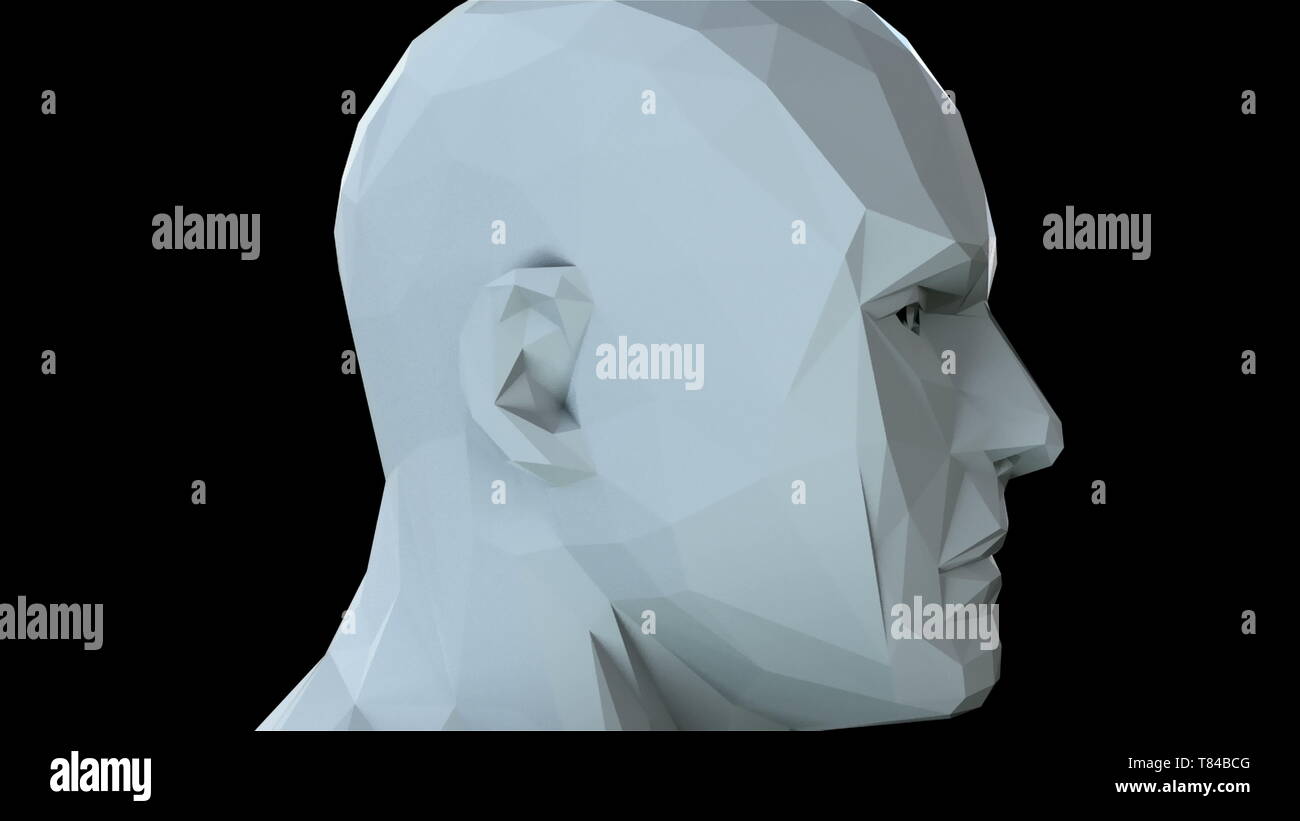 Low poly head, art objects, simple style in the space, 3d rendering ...