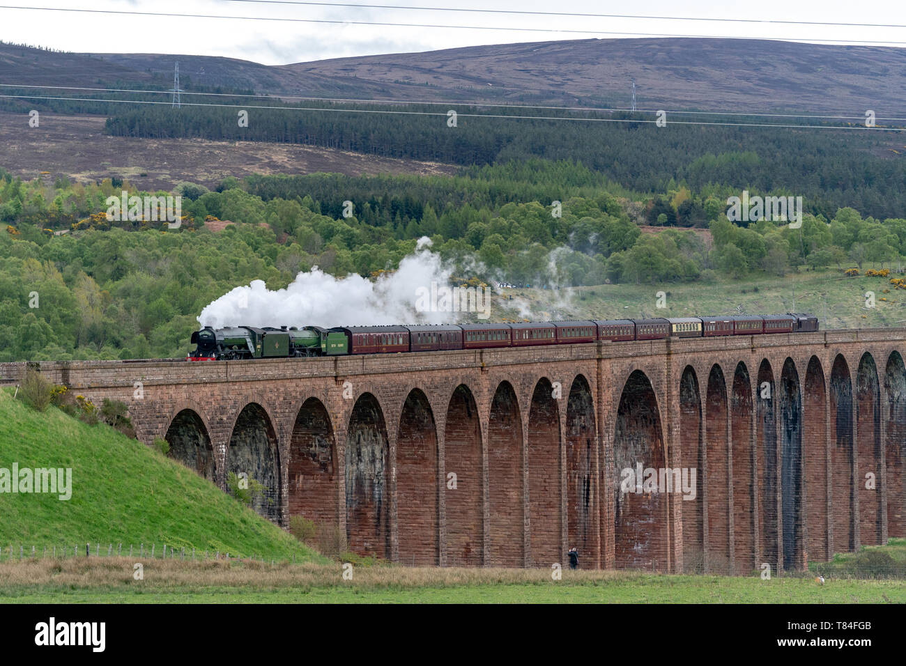 Culloden moor viaduct hi-res stock photography and images - Alamy