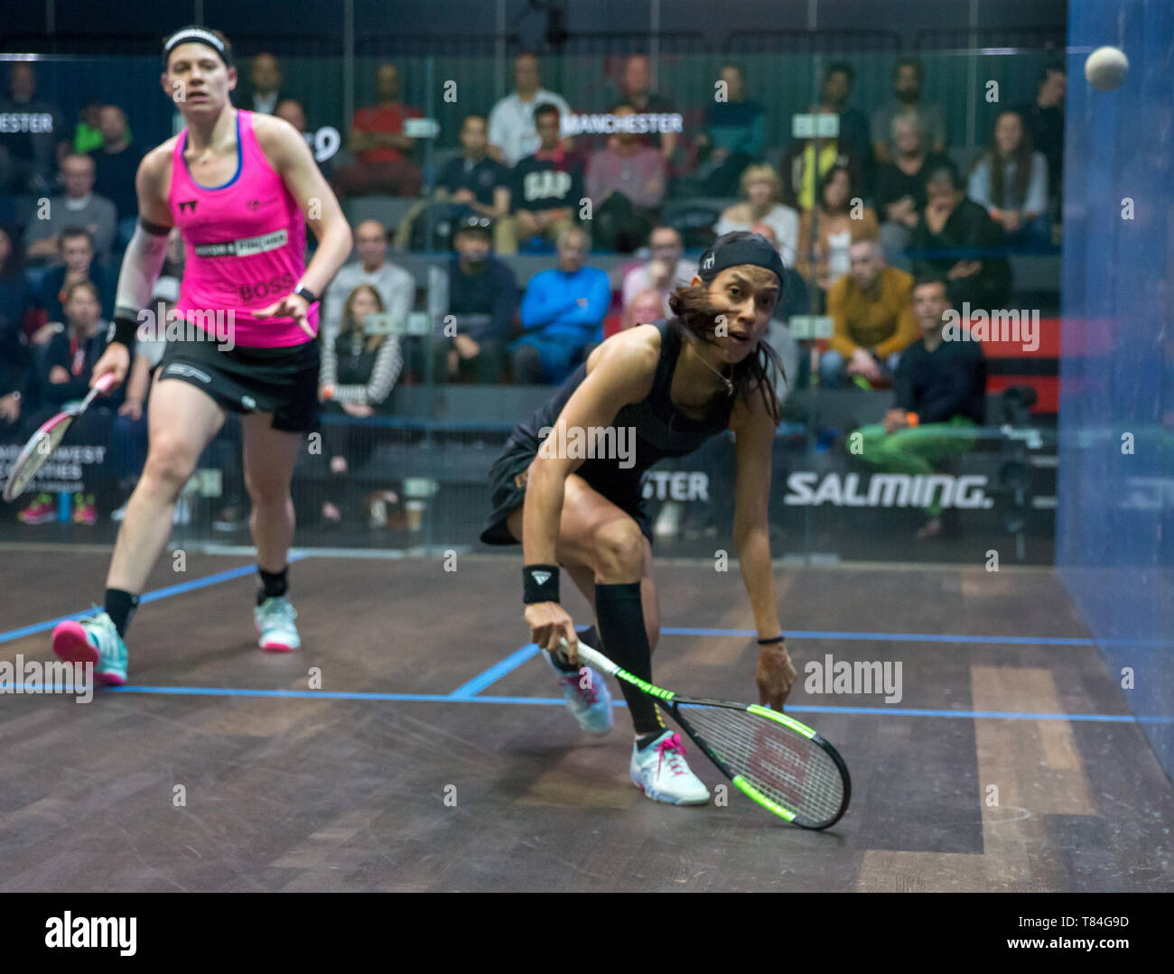 Nicol david squash hi-res stock photography and images - Alamy