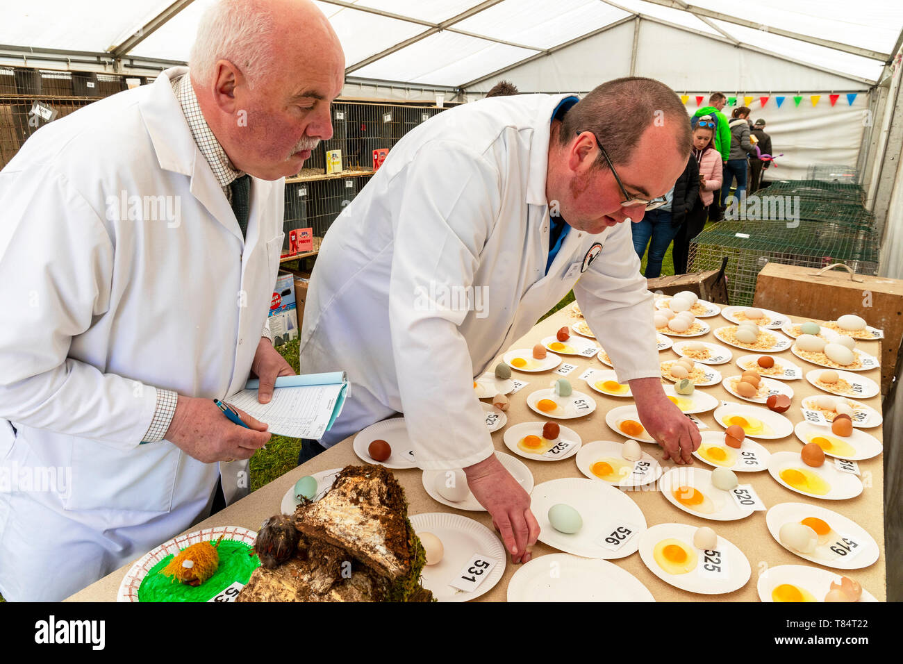 Ayr, Scotland, UK 11th May 2019. The annual Ayr County Show featuring ...