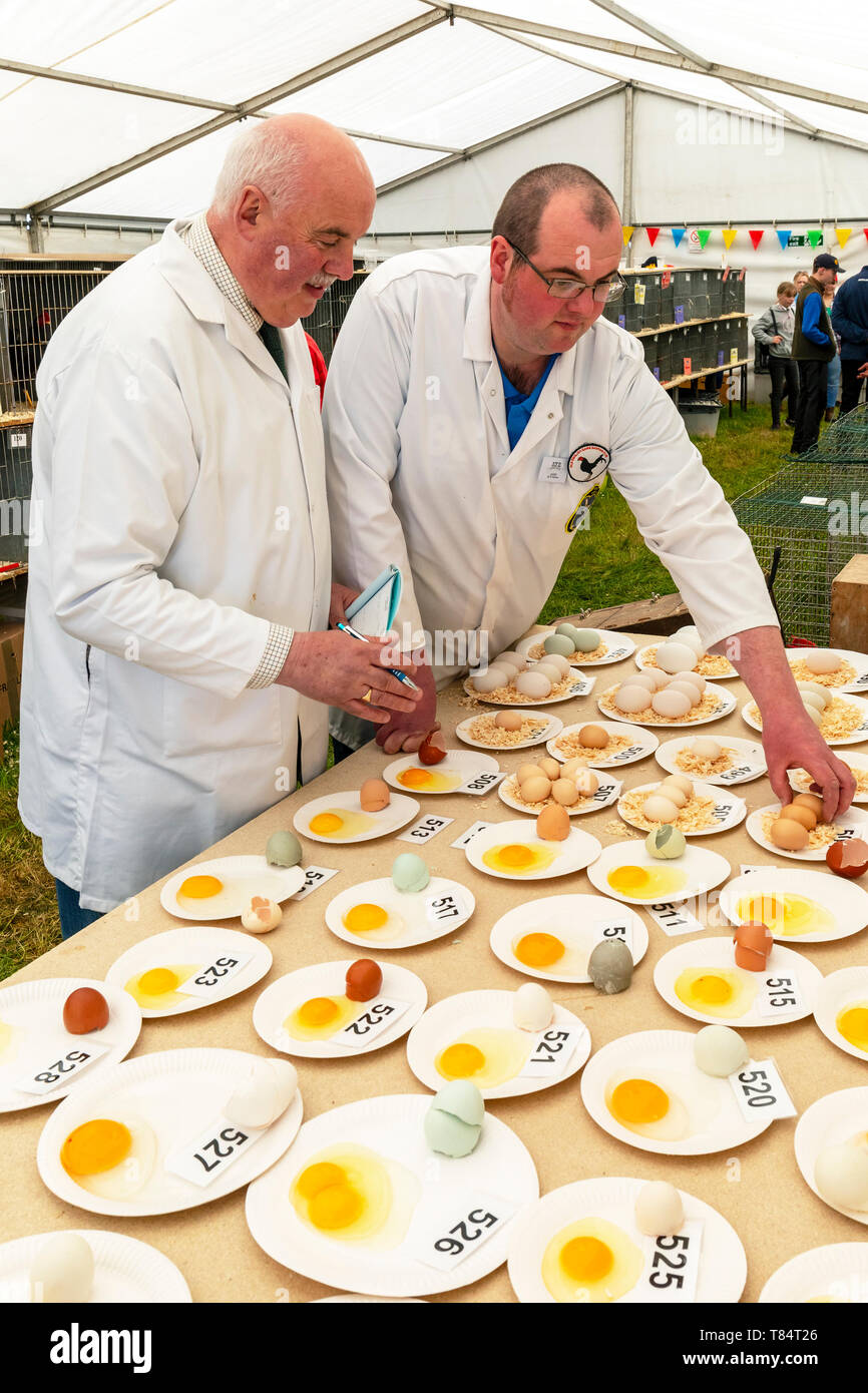 Ayr, Scotland, UK 11th May 2019. The annual Ayr County Show featuring ...