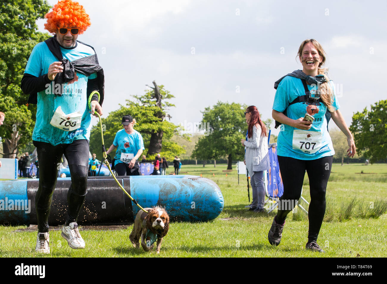 Mucky pup hi-res stock photography and images - Alamy
