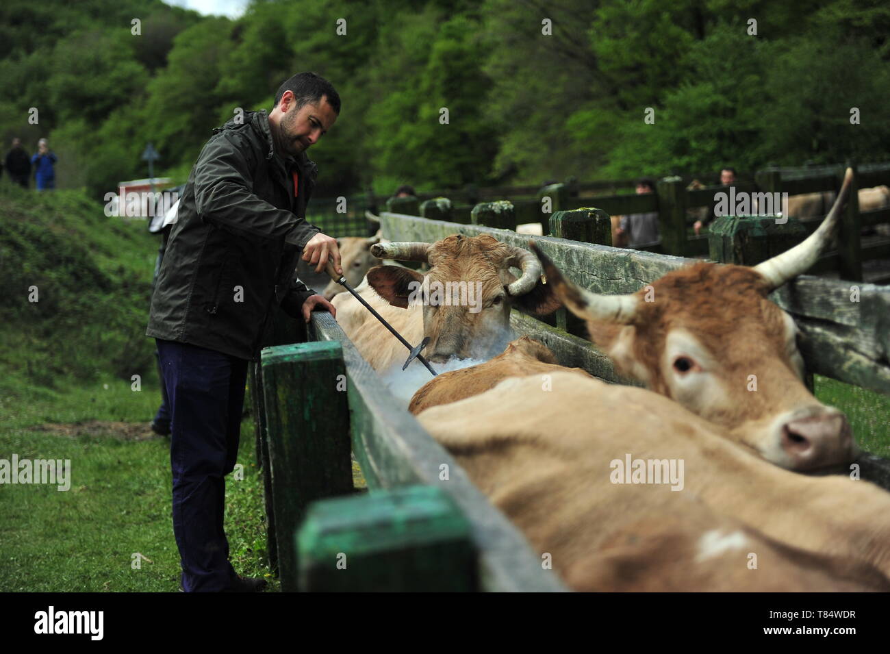 Sorogain Erro Valley, Navarra, Spain. 11th May, 2019. Xabier CÃ-a, 43 ...