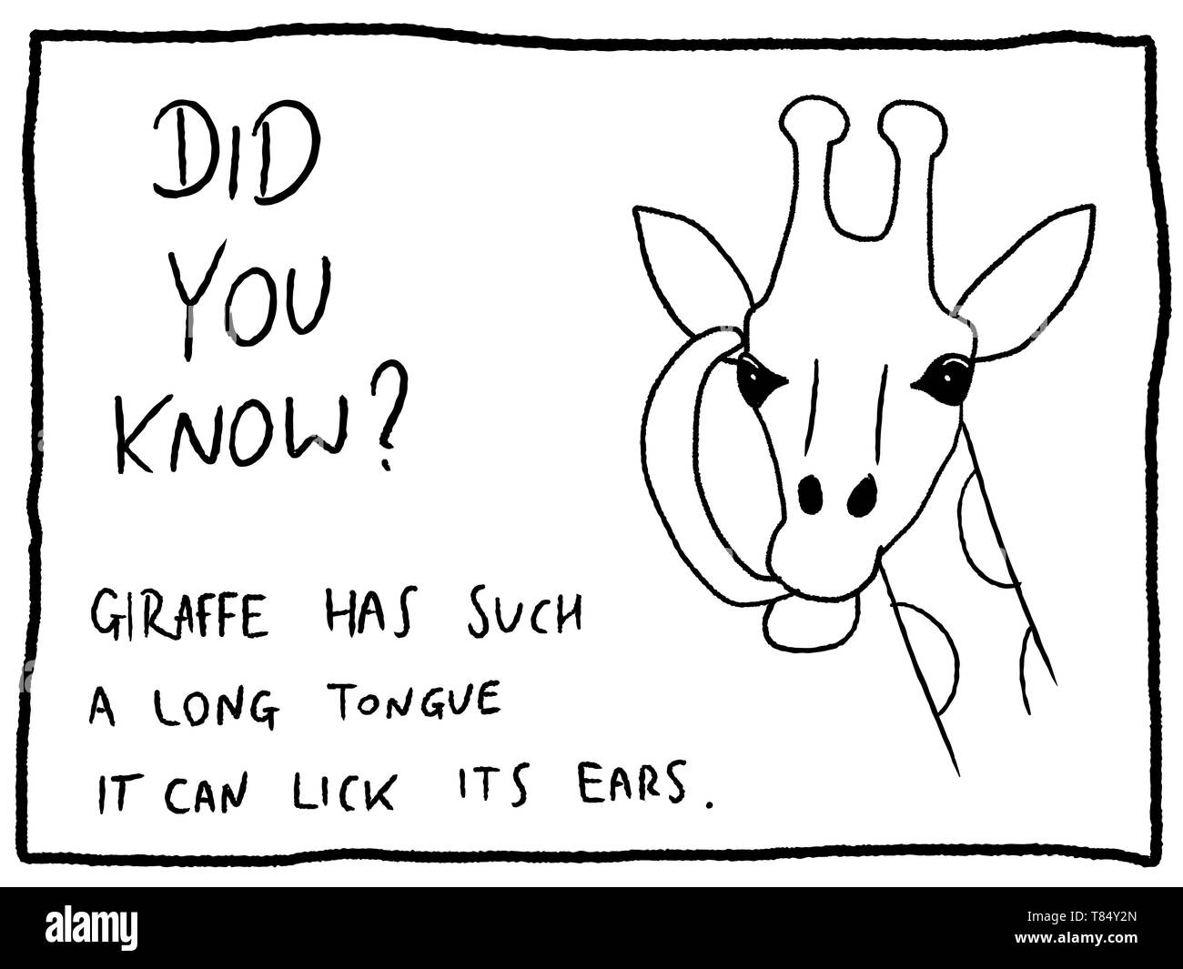 Did You Know Facts About Animals 50 Fun Facts About Animals For Kids