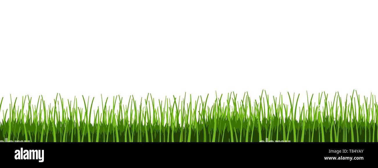 Green grass vector. Grass border illustration Stock Vector Image & Art ...