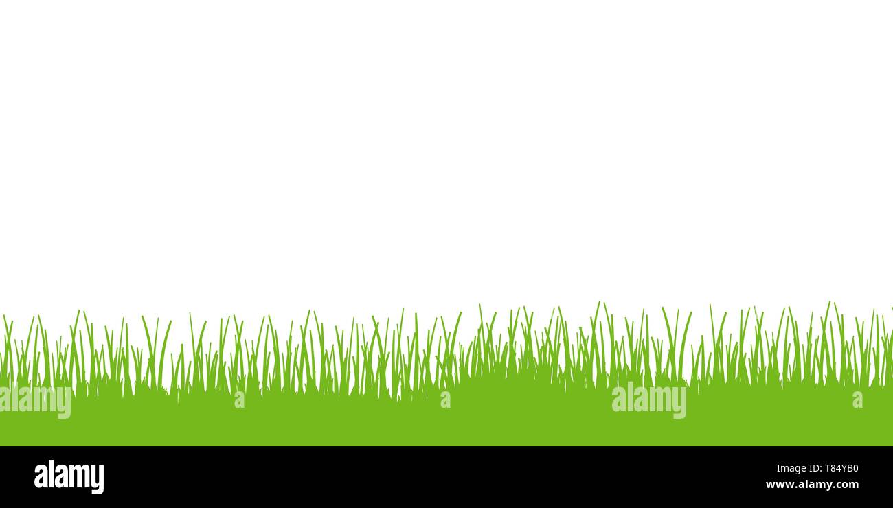 Green grass vector. Grass border illustration Stock Vector Image & Art ...