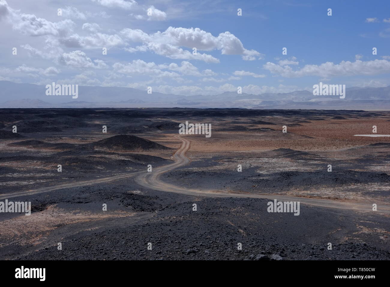 dirt road trough volcanic landscape in the Andes Mountains of Argentina ...