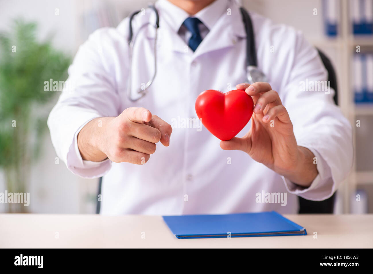 Male doctor cardiologist holding heart model Stock Photo - Alamy