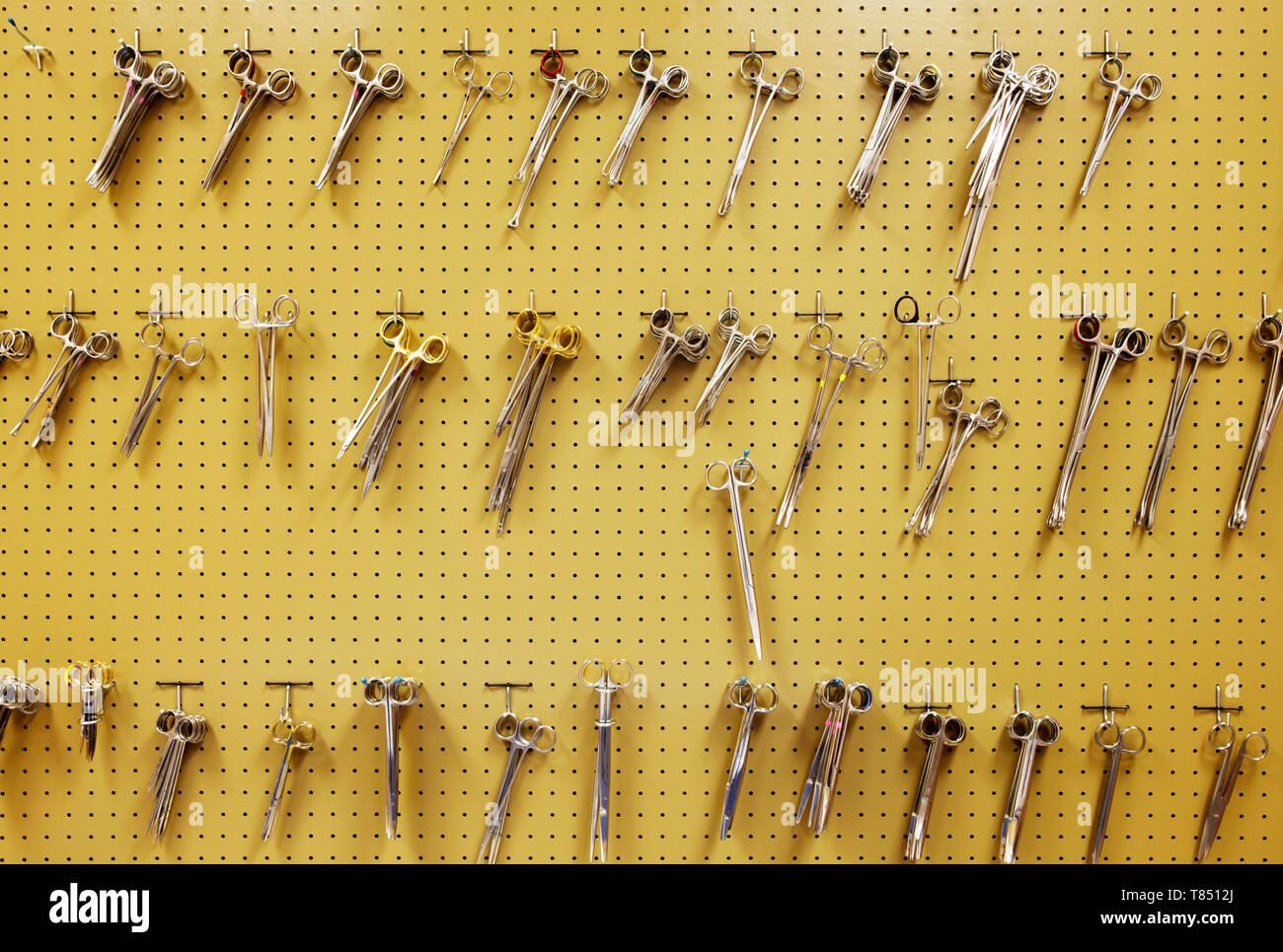 Wall of Surgical Clamps Stock Photo - Alamy