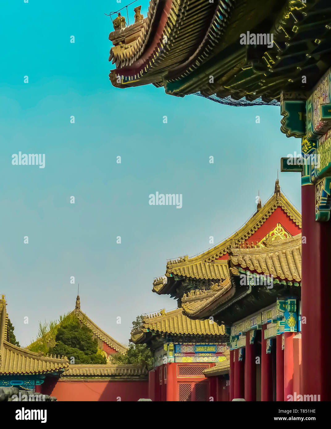 The roofs of the forbidden city on a bright sunny day. Beijing, China ...