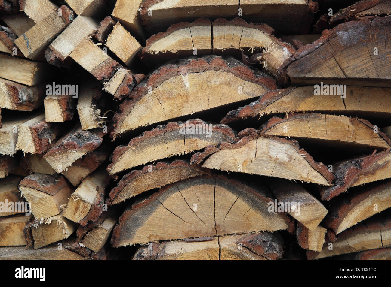 The photo is a wooden background. Cut the birch Stock Photo - Alamy