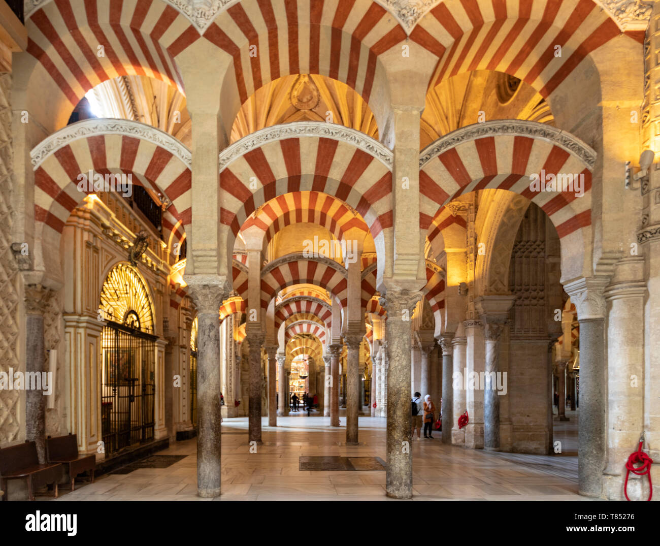 Arcaded hypostyle hall, with 856 columns of jasper, onyx, marble ...