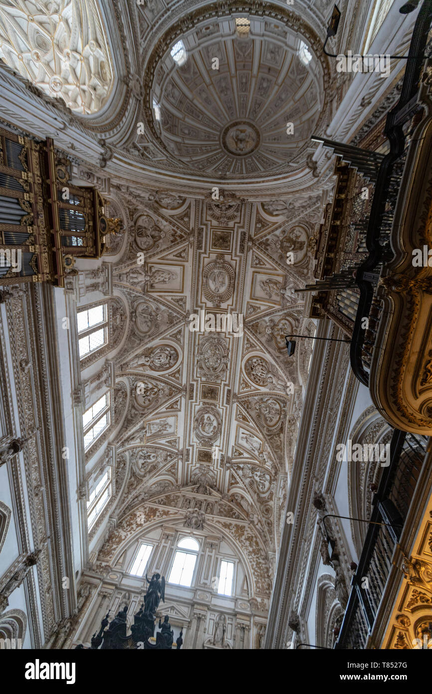 Ceiling and organ in the Catholic Cathedral of Our Lady of the ...