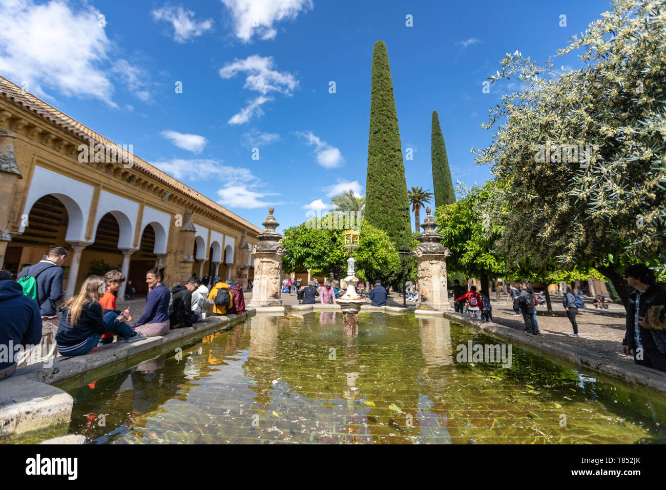 court-of-oranges-in-mosque-cathedral-of-cordoba-hi-res-stock