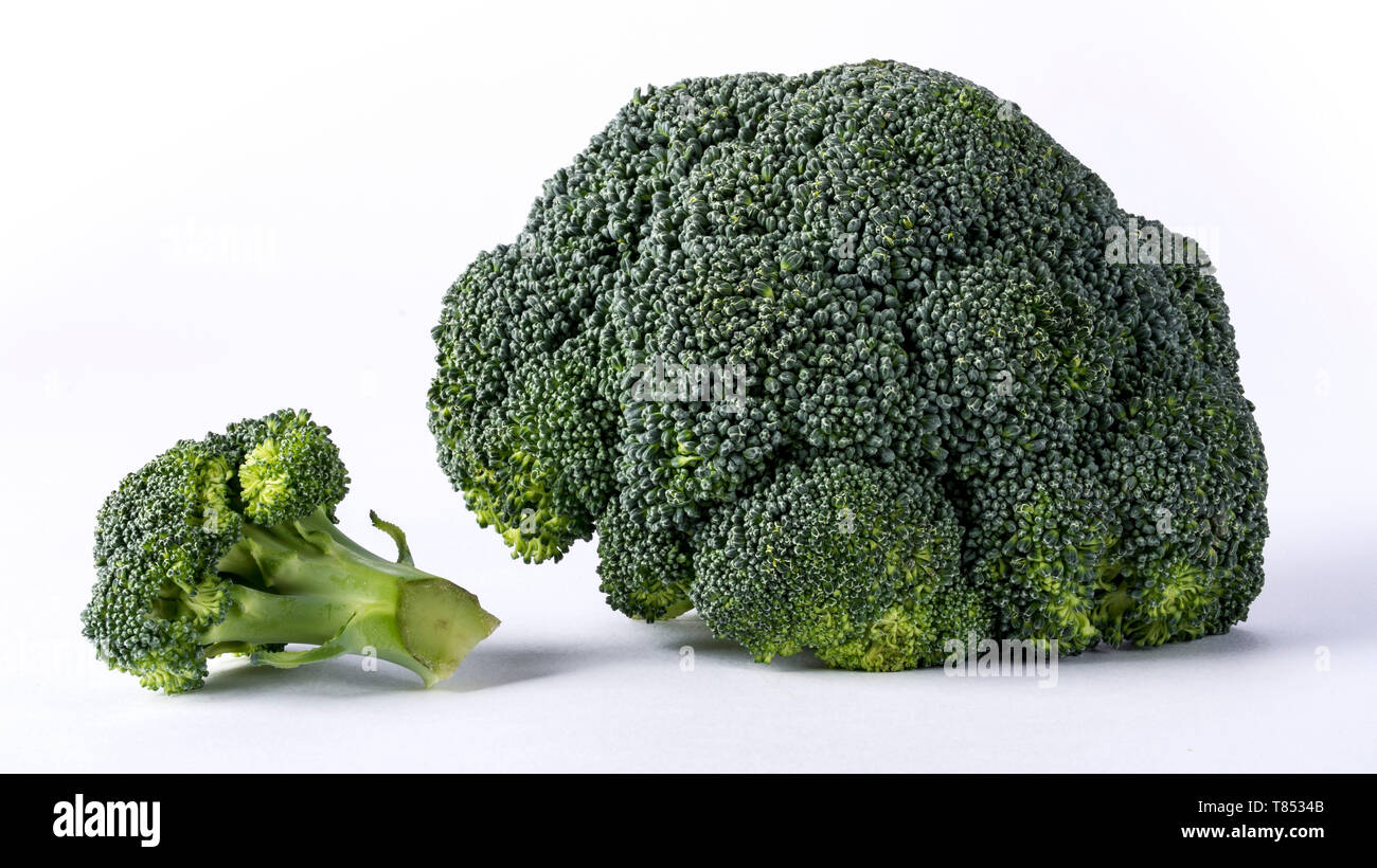 broccoli isolated on white background Stock Photo - Alamy