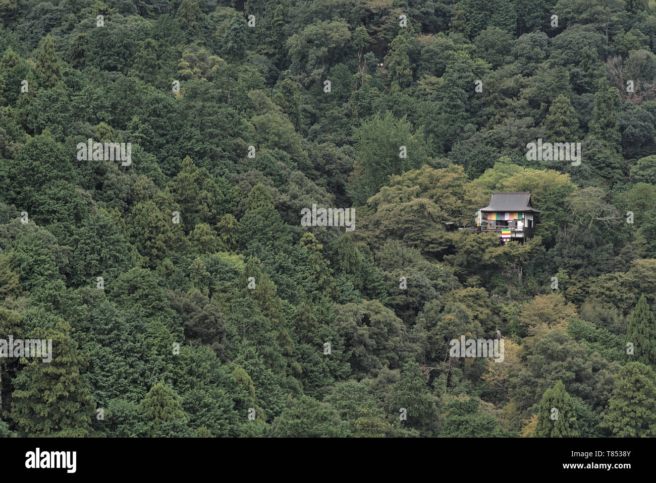 Temple located inside a forest in Kyoto, Japan Stock Photo - Alamy