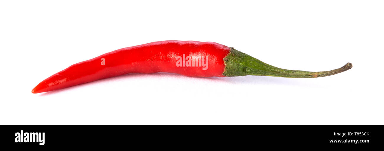 Single chili Cut Out Stock Images & Pictures - Alamy