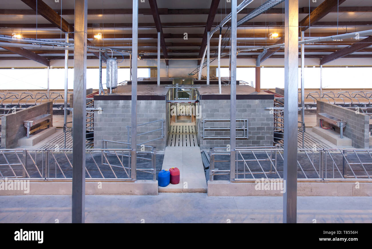 Modern dairy farm interior automated hi-res stock photography and ...