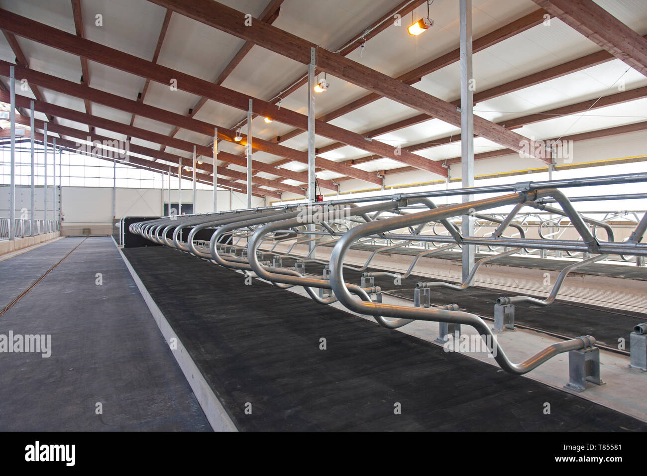 Row of Cattle Cubicles Stock Photo - Alamy