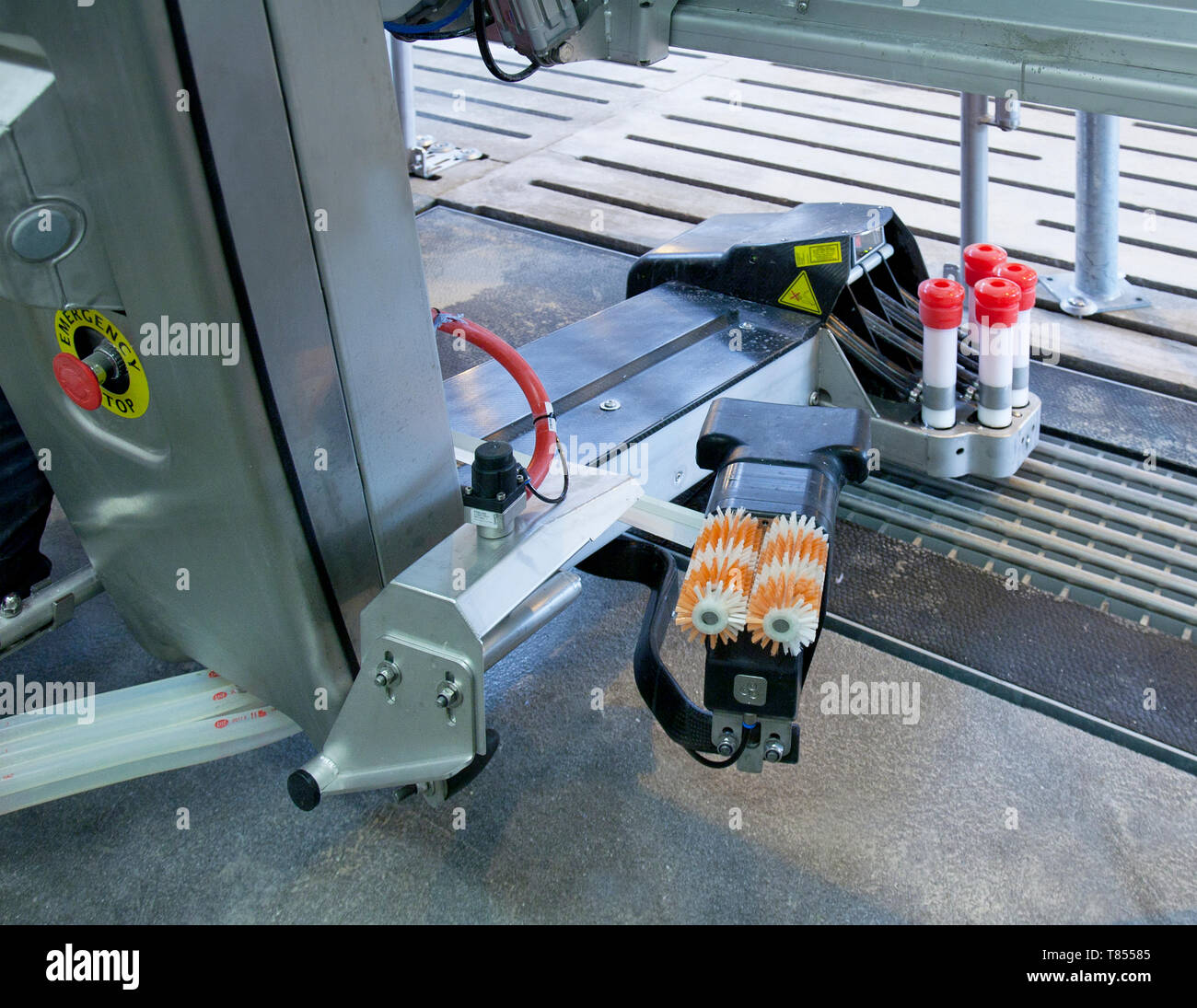 Robotic milking machines hi-res stock photography and images - Alamy