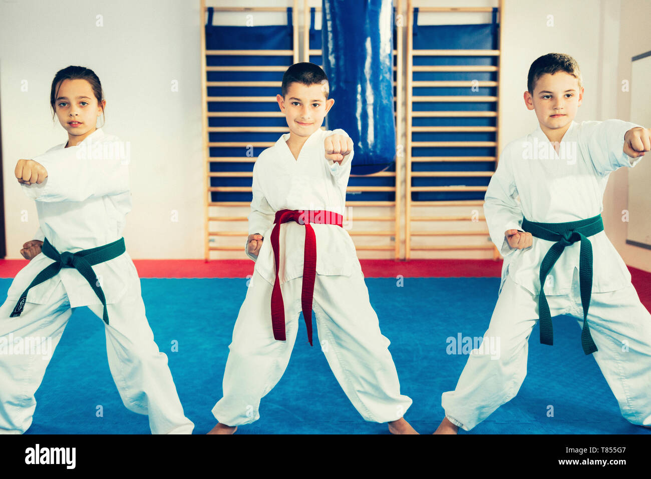 Children in taekwondo class Stock Photo - Alamy