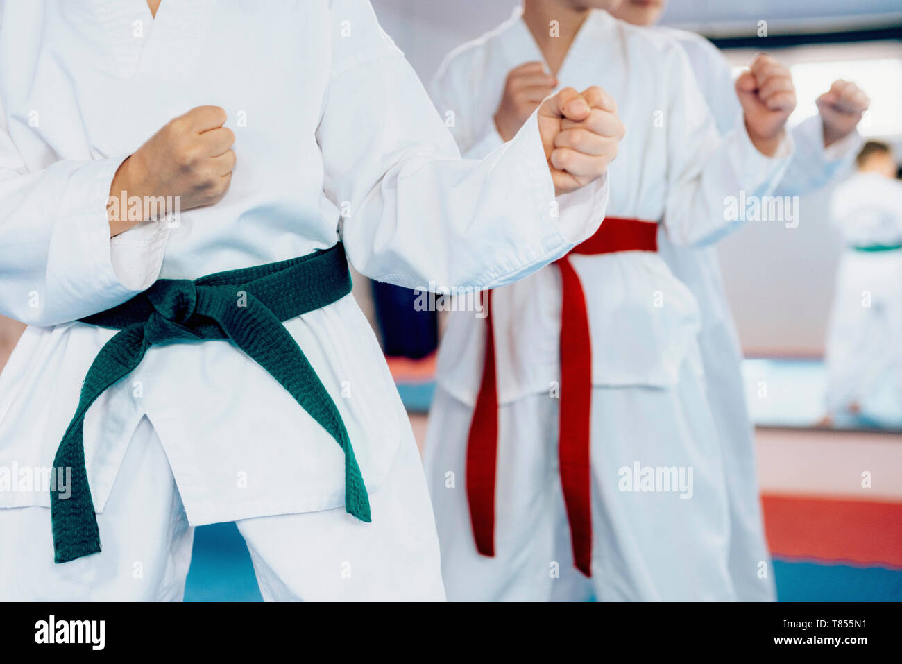 Children in taekwondo class Stock Photo - Alamy