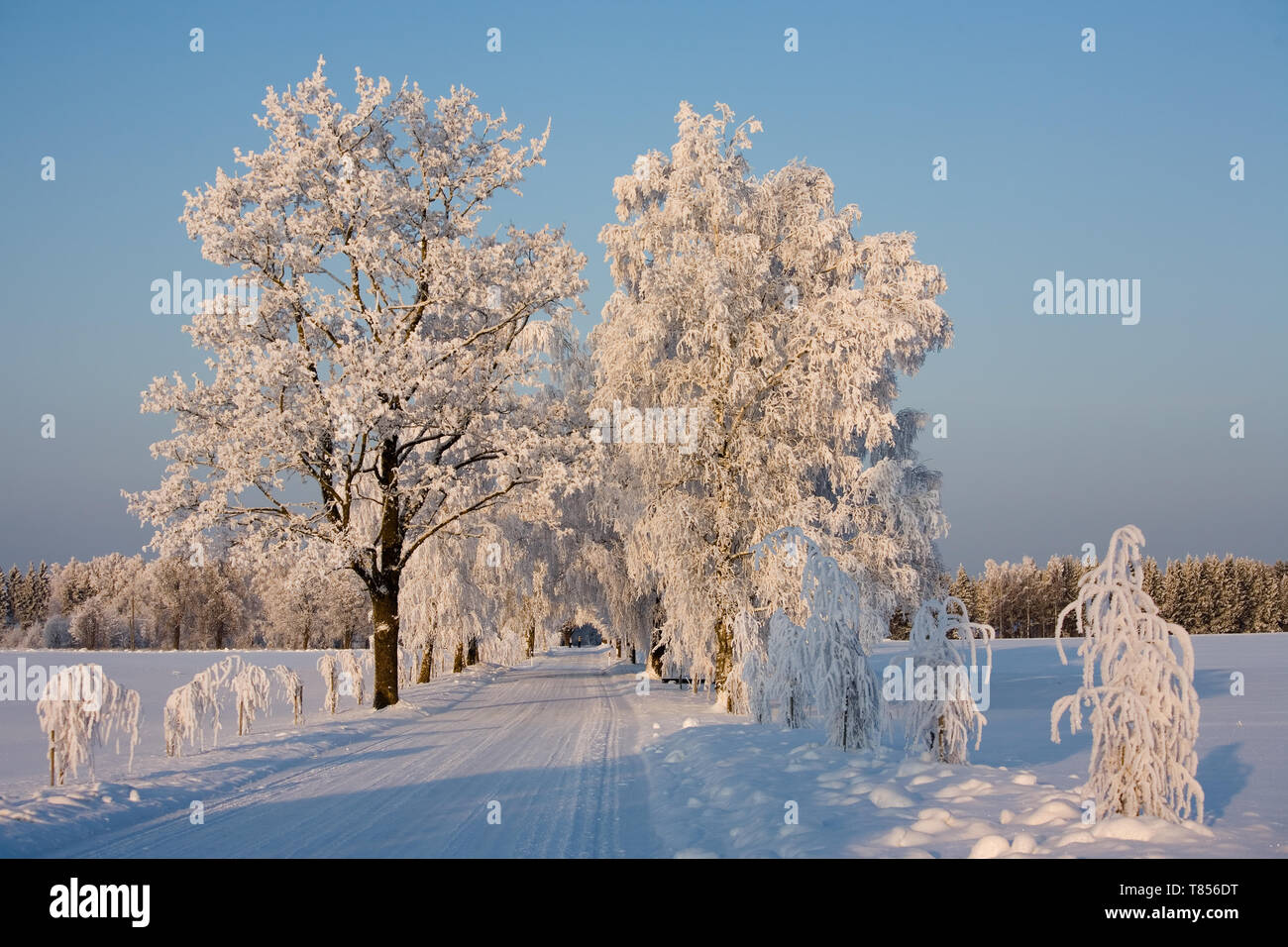 Snow Covered Road Stock Photo - Alamy