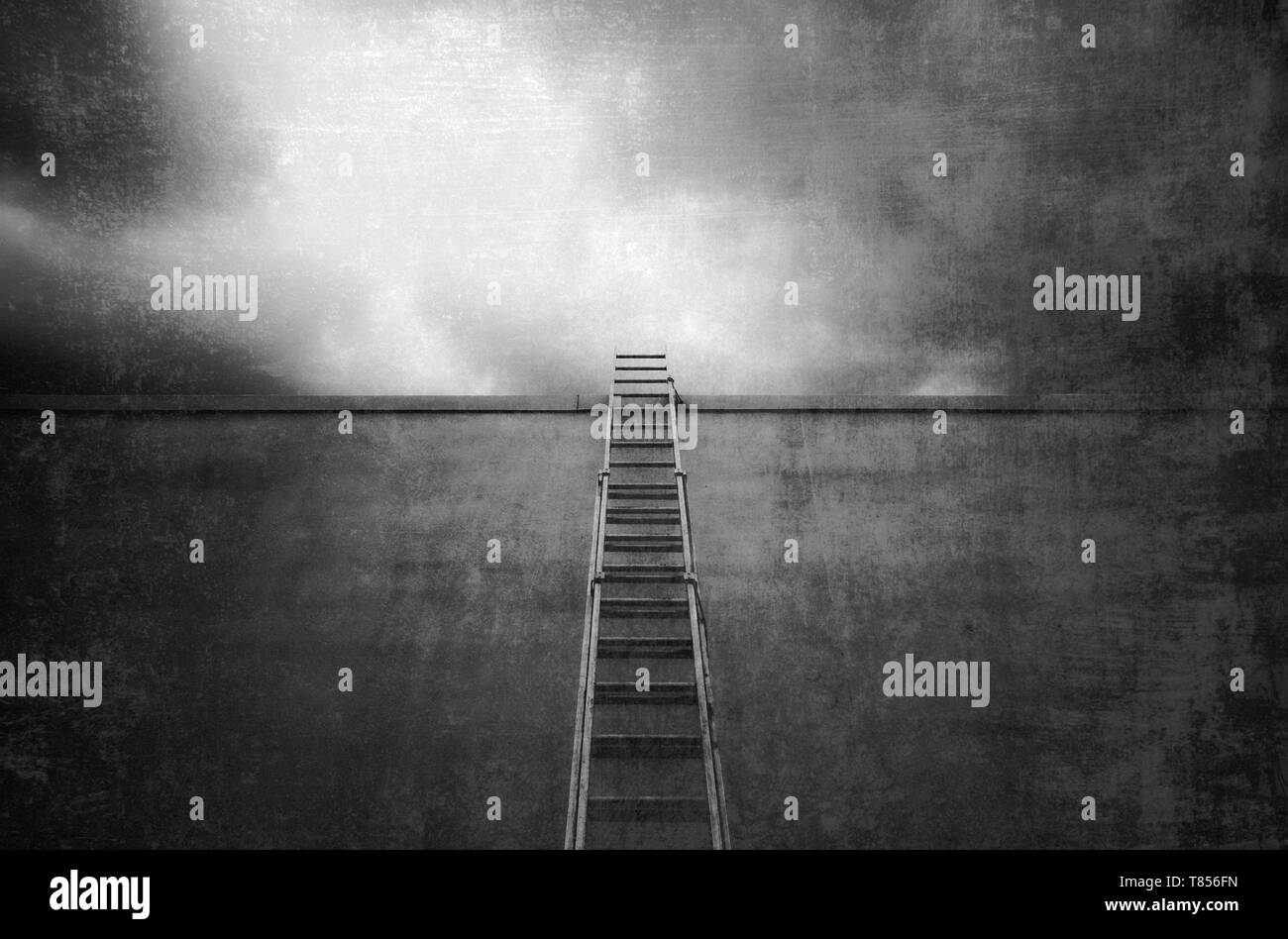 Ladder Going Up a Tall Wall Stock Photo - Alamy