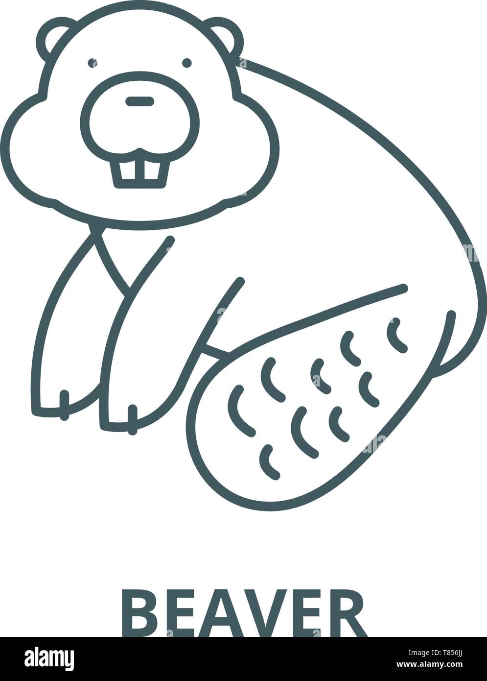 Beaver vector line icon, outline concept, linear sign Stock Vector ...