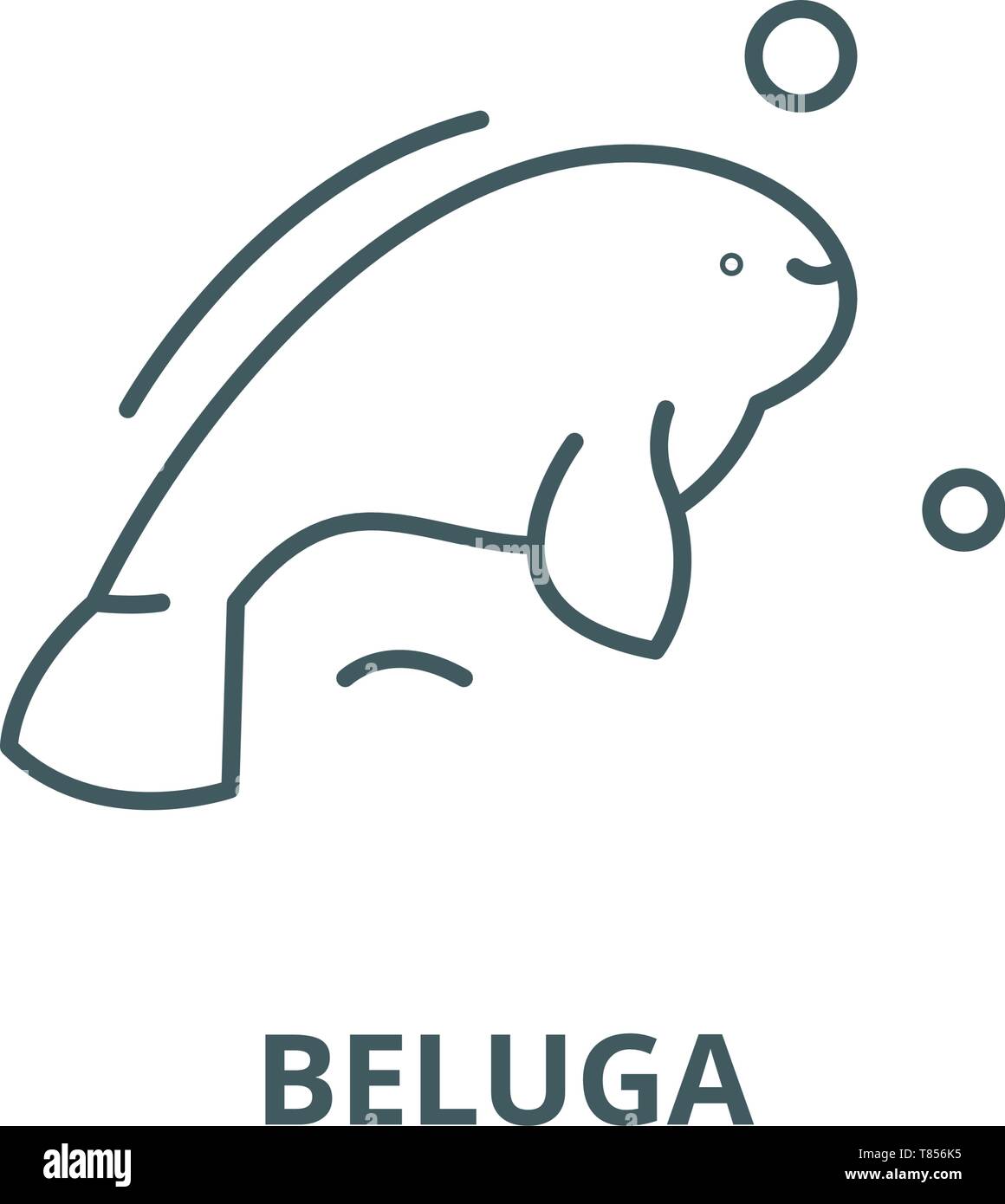 Bowhead whale arctic Stock Vector Images - Alamy