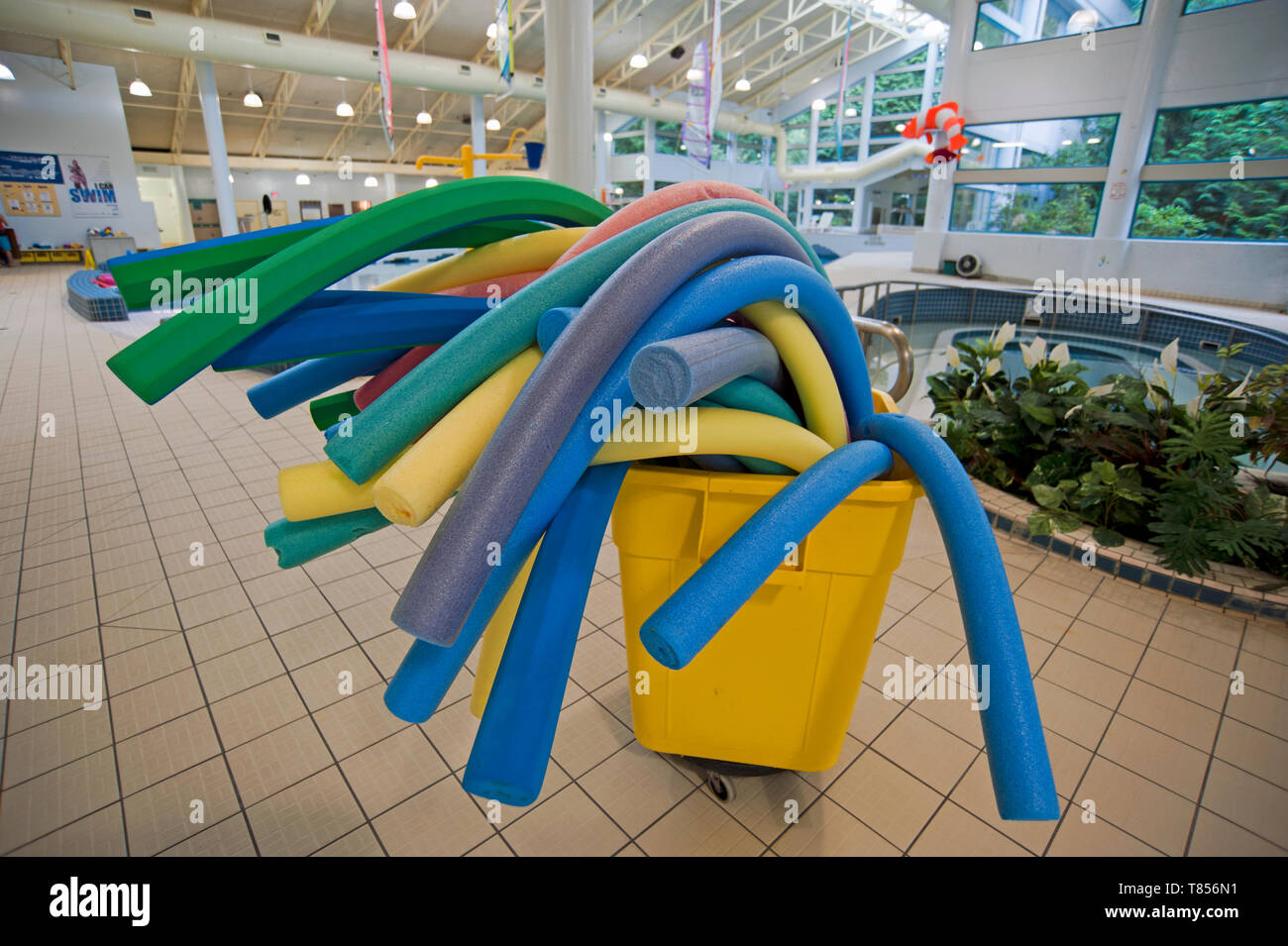 Water Noodles at a Public Swimming Pool Stock Photo - Alamy