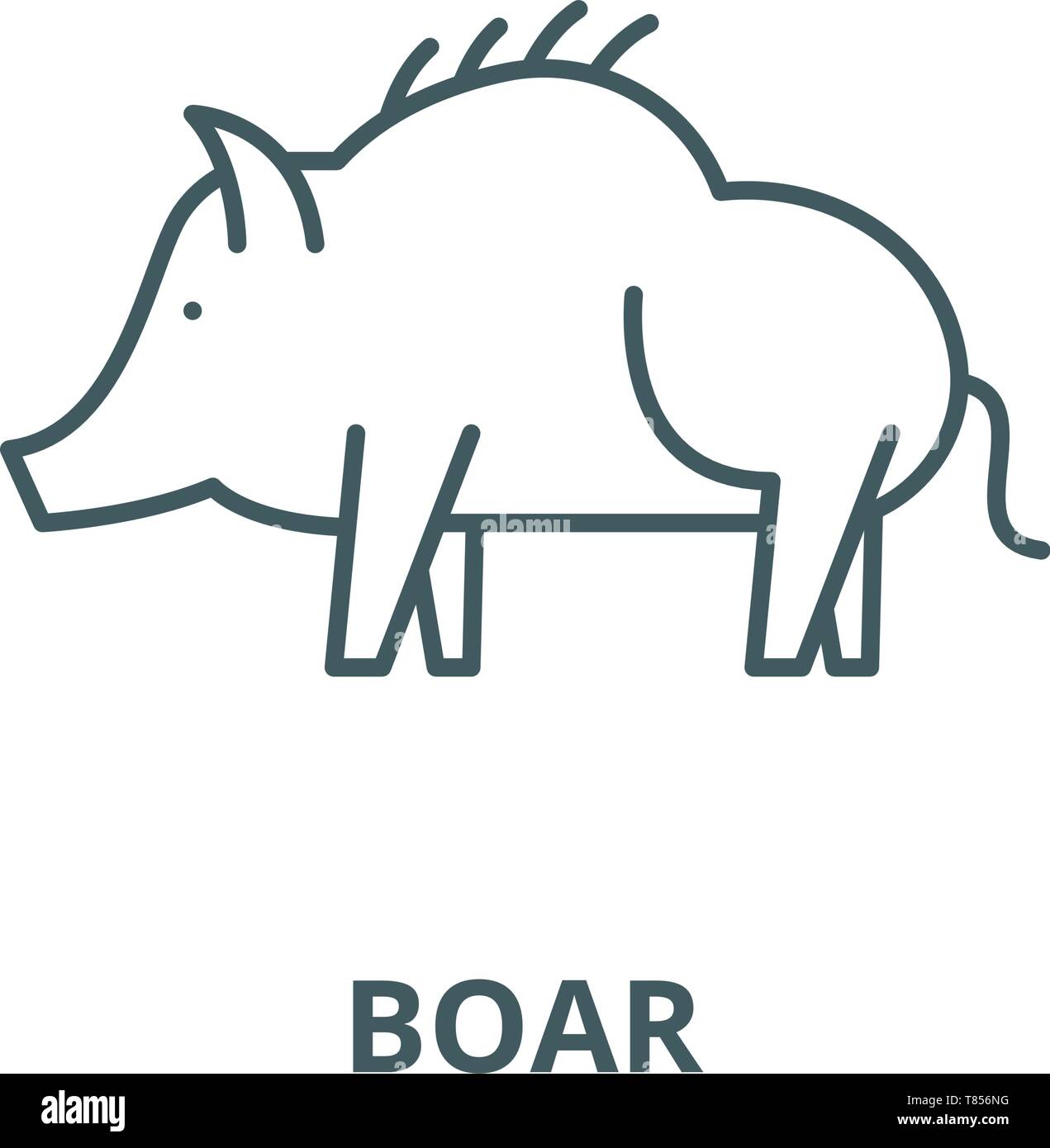 Boar vector line icon, linear concept, outline sign, symbol Stock ...