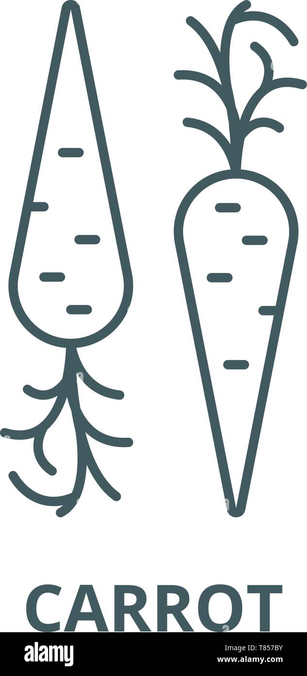 Carrot vector line icon, linear concept, outline sign, symbol Stock ...