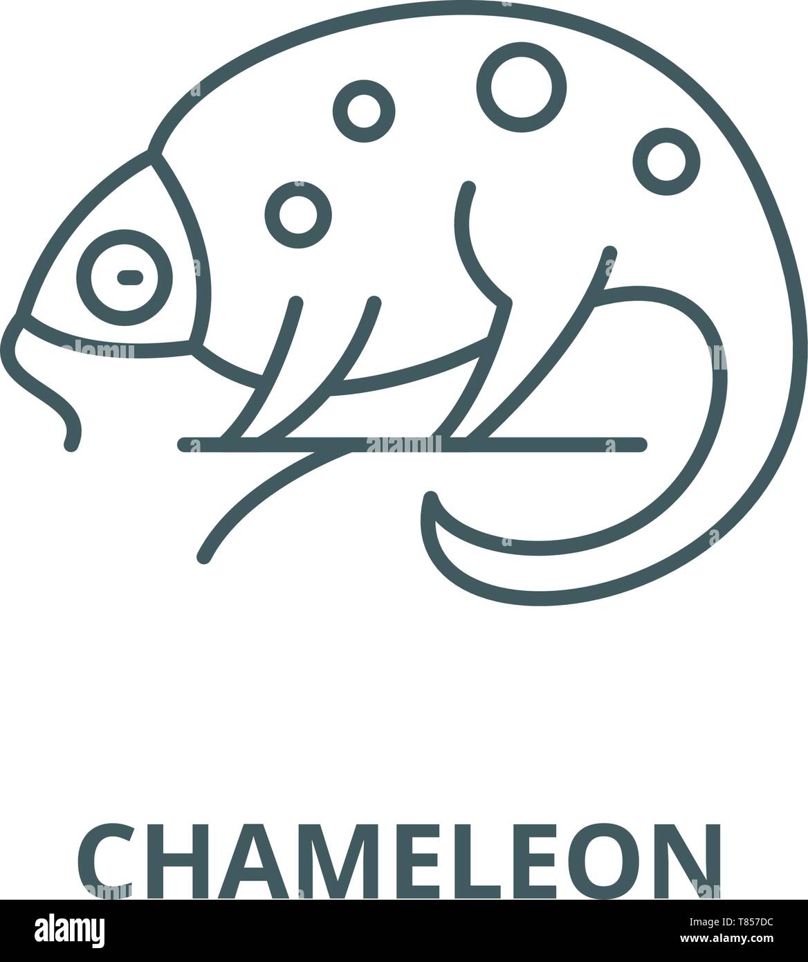 Chameleon vector line icon, linear concept, outline sign, symbol Stock ...