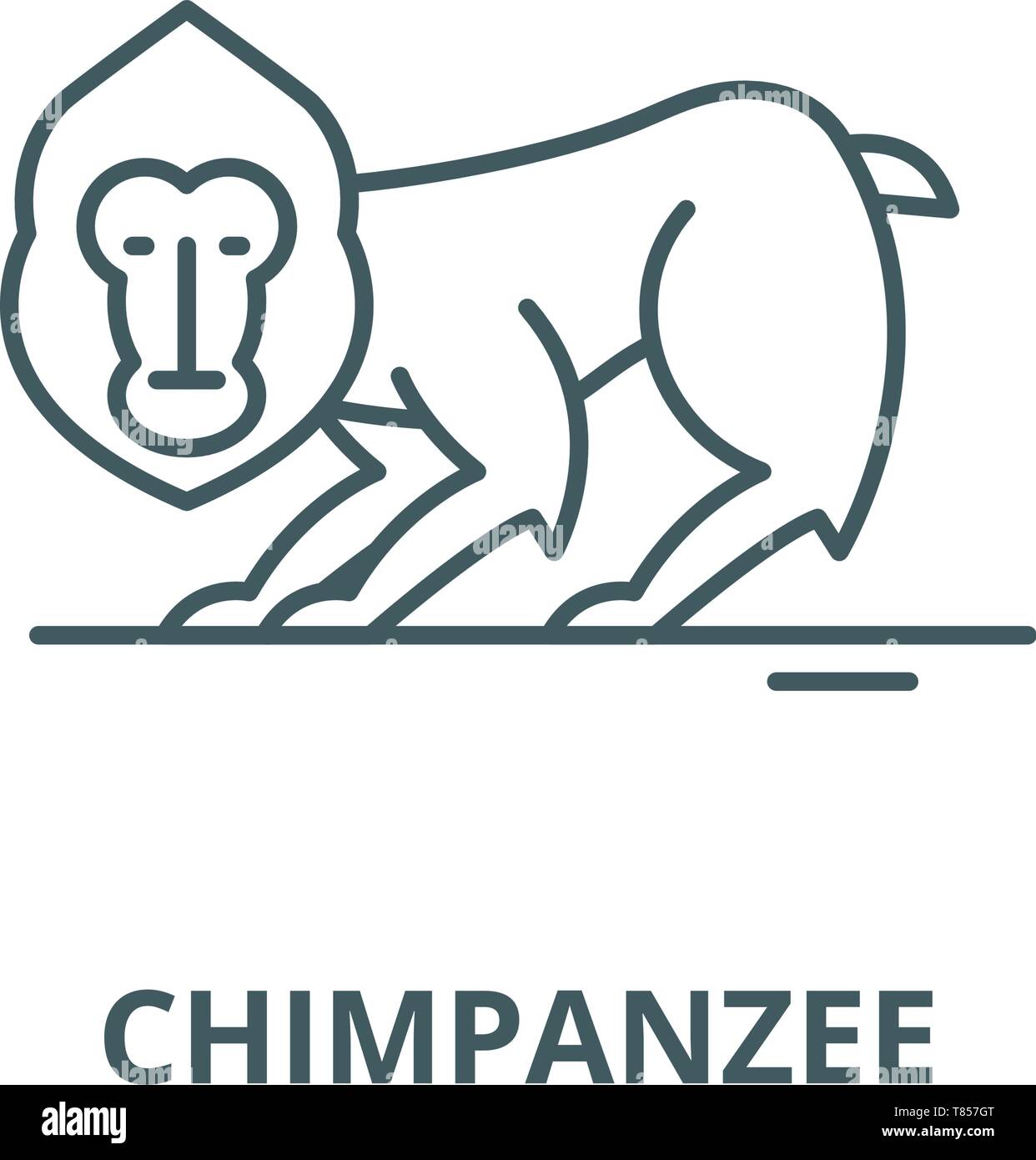 Chimpanzee vector line icon, linear concept, outline sign, symbol Stock ...