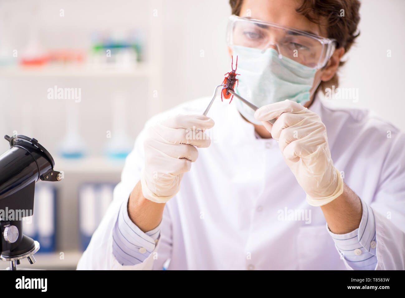 Male entomologist working in the lab on new species Stock Photo - Alamy
