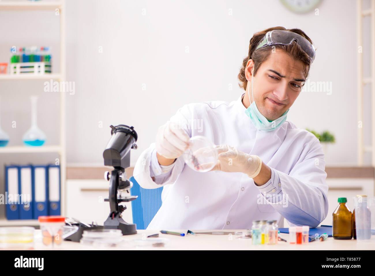 Male entomologist working in the lab on new species Stock Photo - Alamy