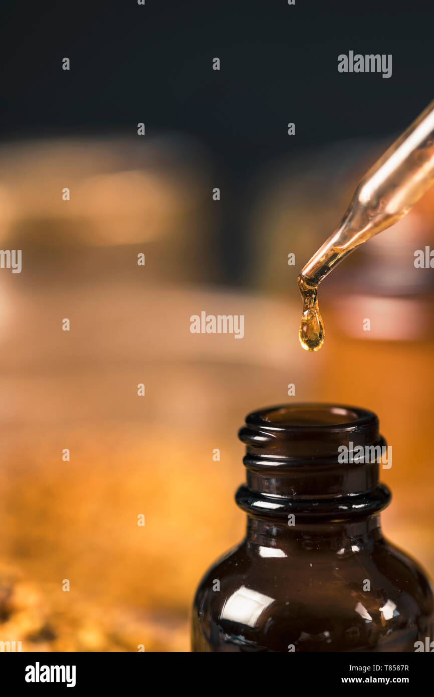 Propolis Drop High Resolution Stock Photography and Images - Alamy